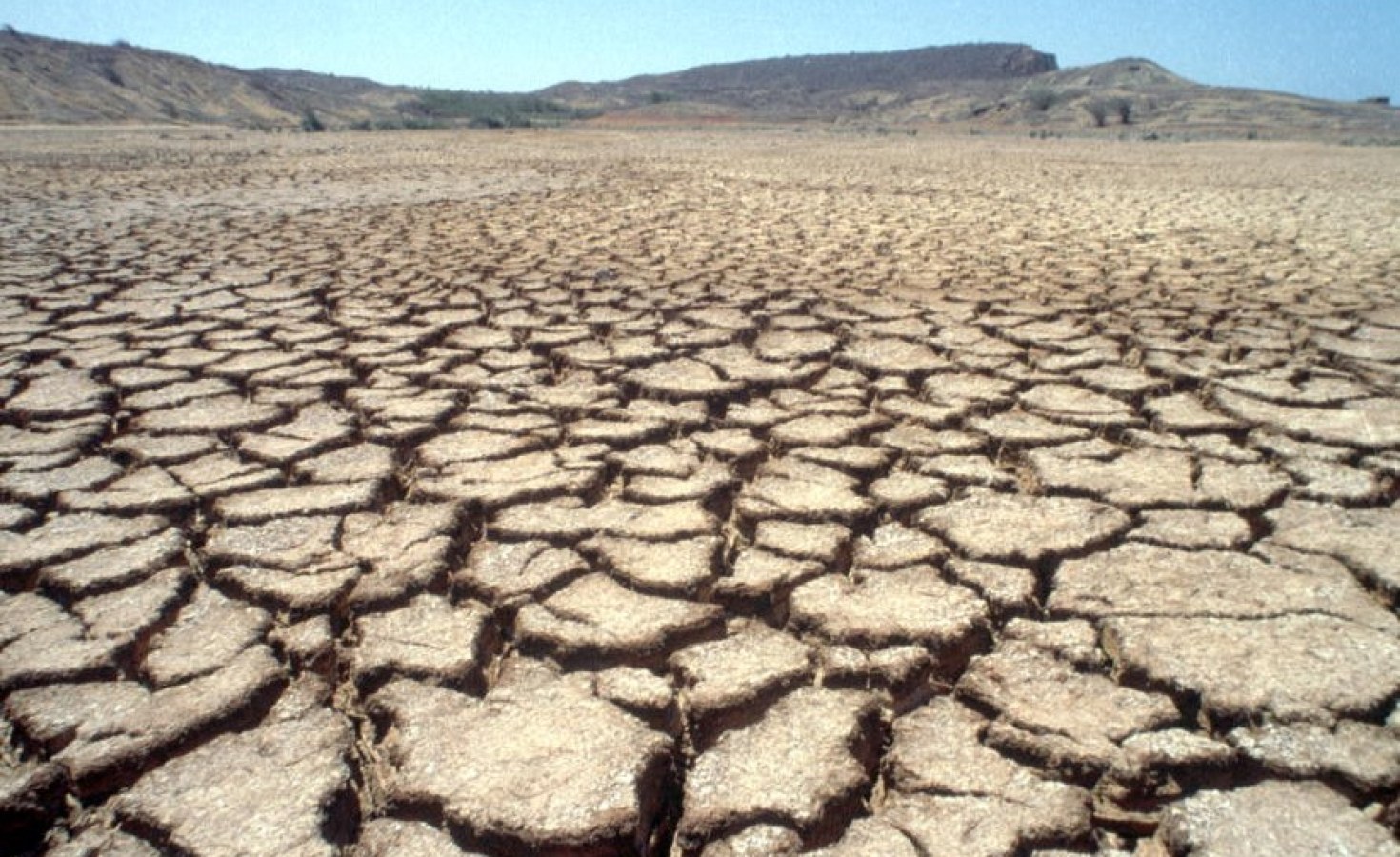 North Africa: Extreme Heat Wave Lays Bare Deadly Reality of Climate ...