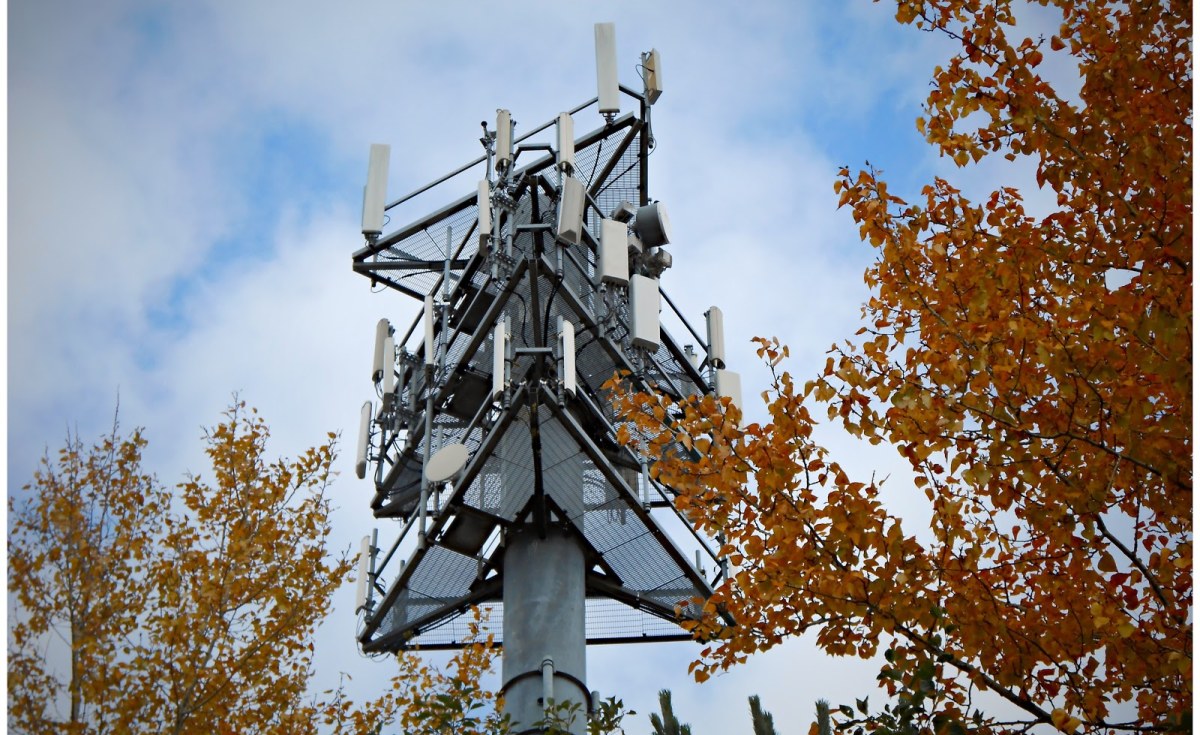 South Africa: Cellphone Towers Don't Lie - the 24-Hour Potential Killer ...