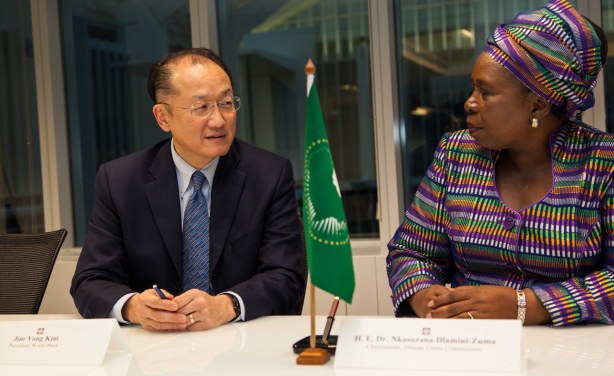 Re-examining Structural Adjustment in Africa - allAfrica.com