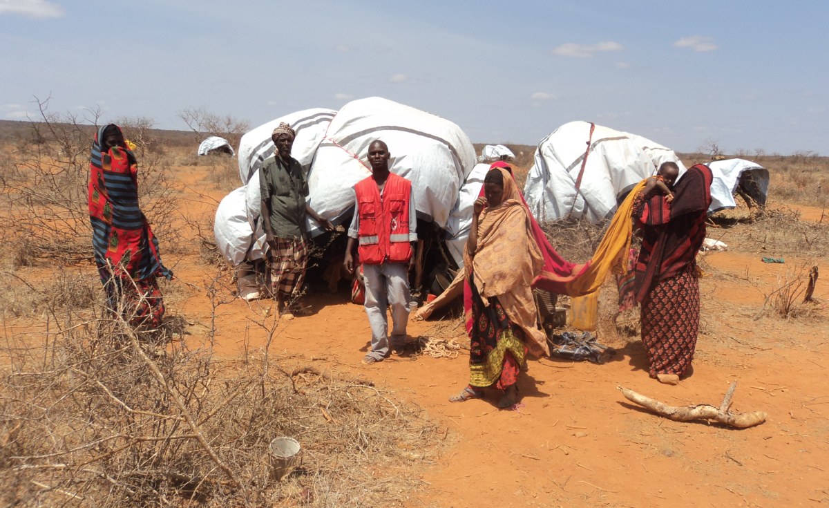 Kenya: Scores Dead in Renewed Moyale Clashes - allAfrica.com