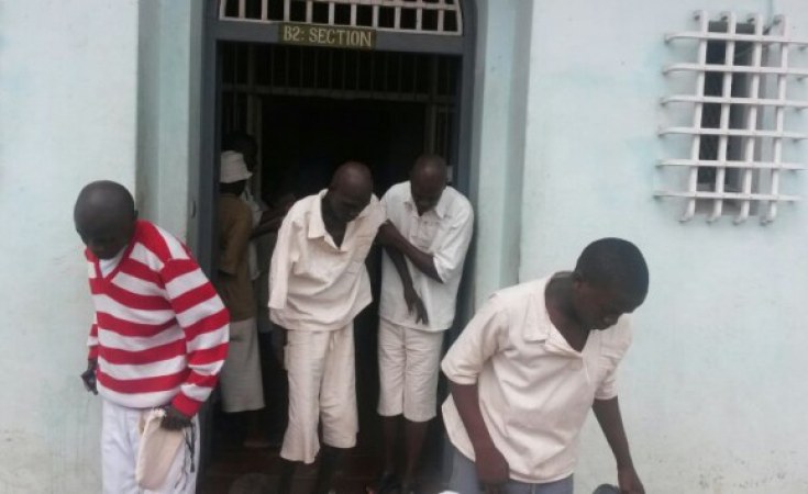 Zimbabwe: Mugabe Prison Amnesty Forced By Hunger - allAfrica.com
