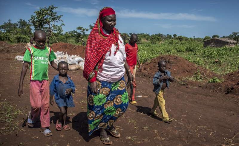 Central African Republic: The CAR Crisis: Thinking Beyond Traditional ...