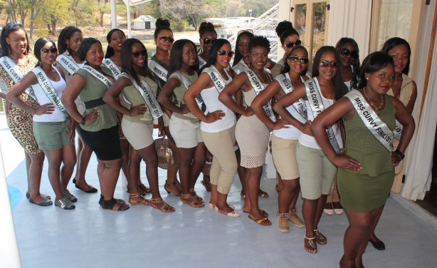Miss Curvy Zimbabwe Prep Under Way - allAfrica.com