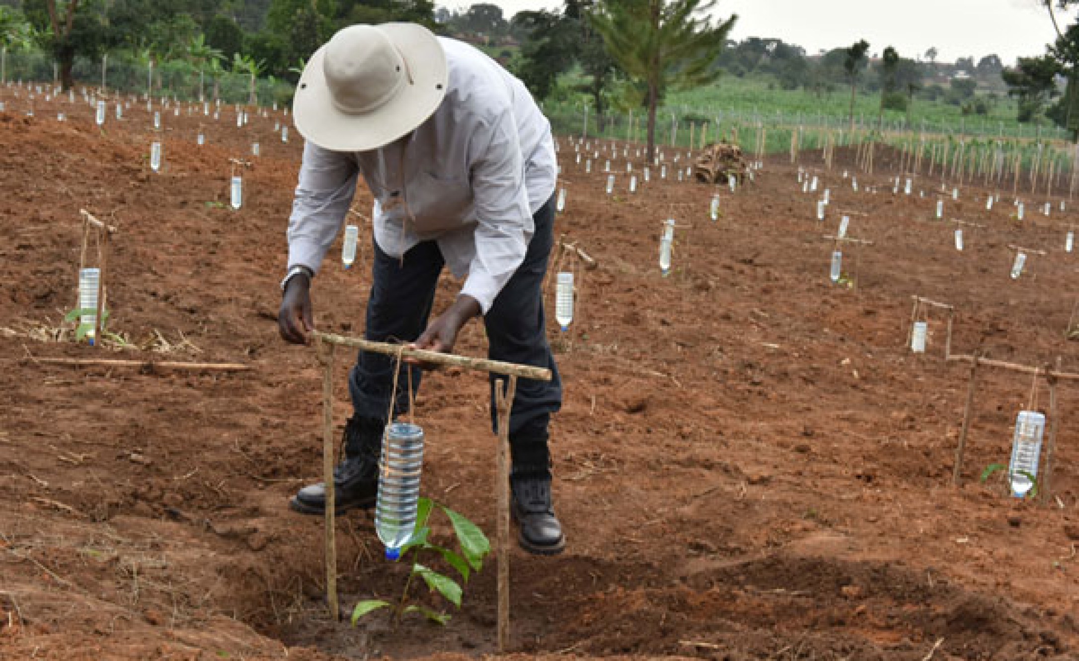 Uganda: President Calls for Drip Irrigation As a Solution to Drought ...