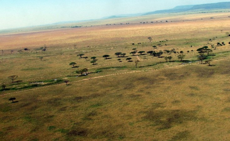 Tanzania: Mountain Lovers Stumble On New 'Peak' Within World Famous ...