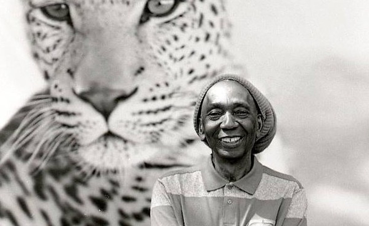 Zimbabwe: Untold Story Behind Mukanya's Homecoming - allAfrica.com