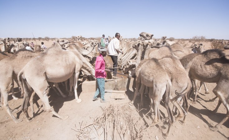 Somalia: Mobile Phone Warnings Set to Aid Climate-Vulnerable Somali Nomads - allAfrica.com