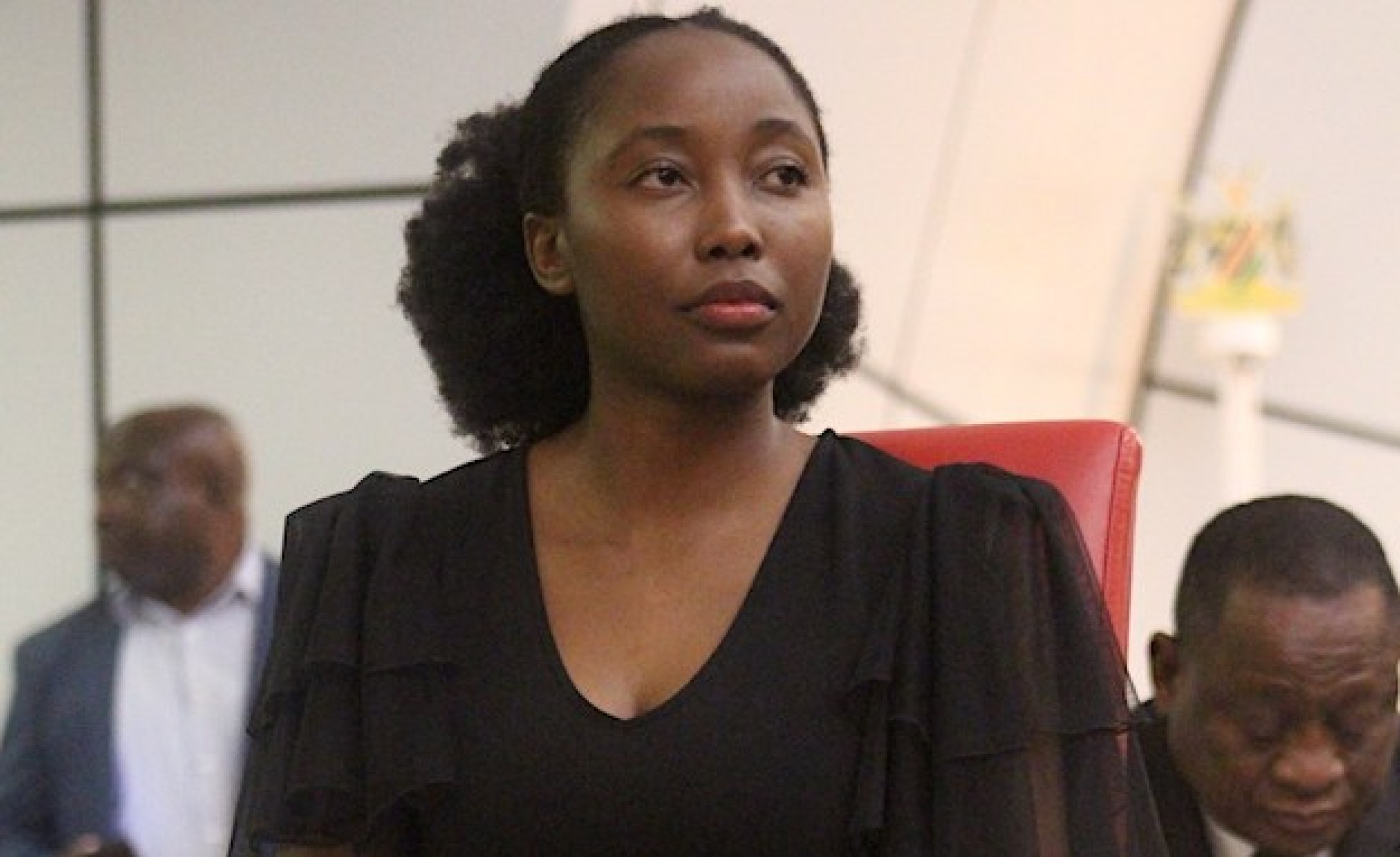 Namibia: Nam's Youngest MP & Deputy Minister Takes Office - allAfrica.com