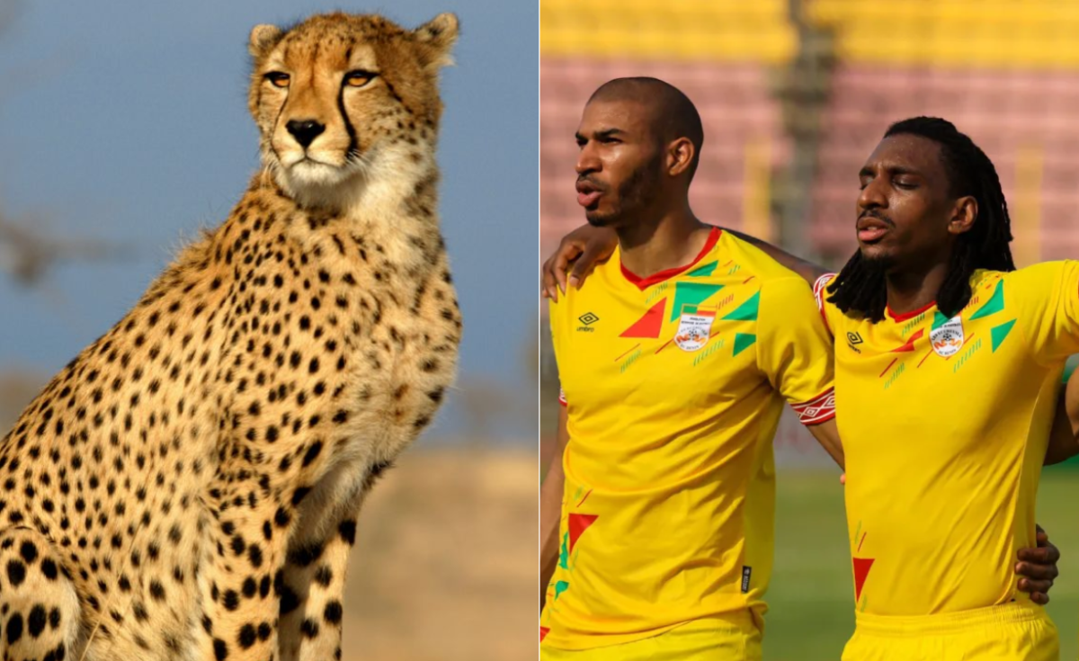 Le Bénin change le surnom de leur équipe nationale de football ...