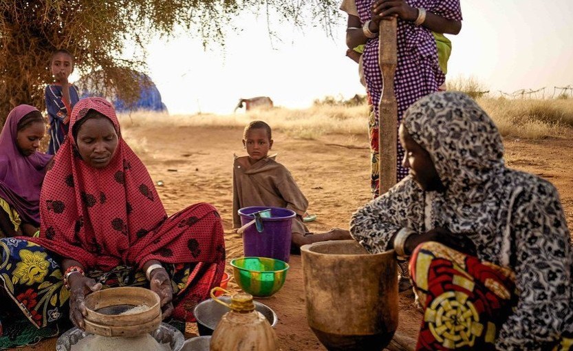 Mali: Five Principles to Guide U.S. Policy Towards Mali - allAfrica.com