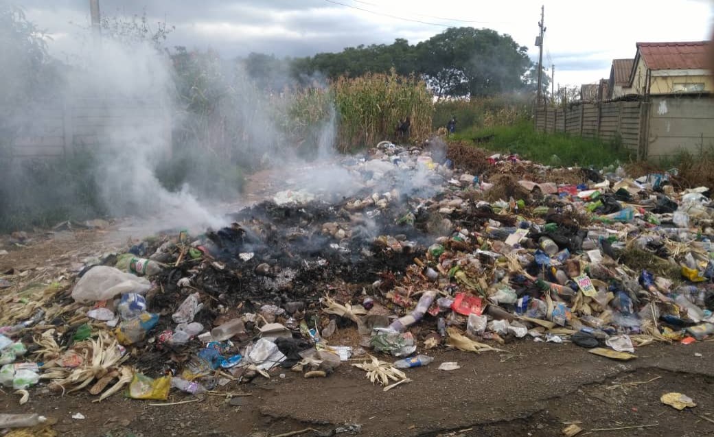 Harare Launches Cleanup Drive Amid Rising Cholera Cases - allAfrica.com